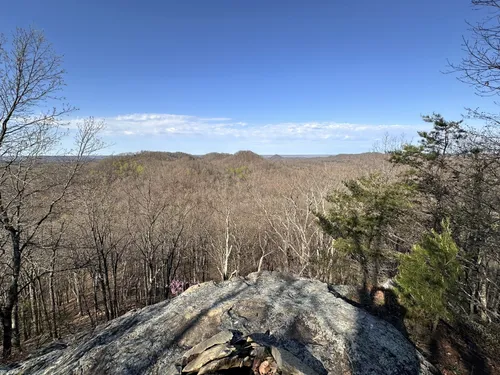 Best Hikes and Trails in Knobs State Forest | AllTrails