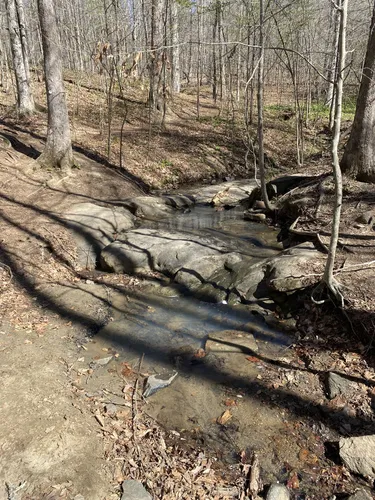 Best Trail Running Trails in Oak Ridge | AllTrails