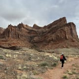 Syncline Loop, Utah - 1,001 Reviews, Map | AllTrails