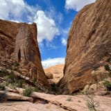 Syncline Loop, Utah - 976 Reviews, Map | AllTrails