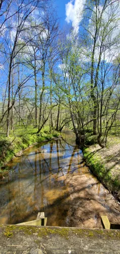 Best Hikes and Trails in Shallow Ford Natural Area | AllTrails
