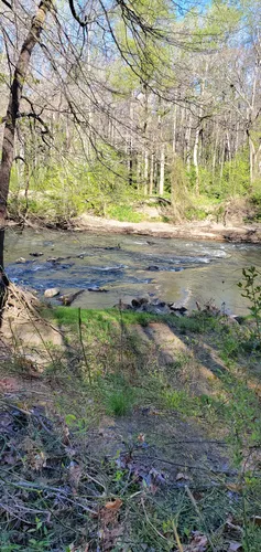 Best Hikes and Trails in Shallow Ford Natural Area | AllTrails