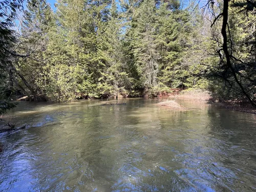 Best Lake Trails in Simcoe County Forest | AllTrails