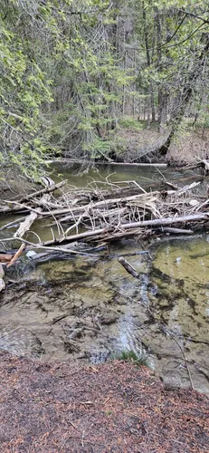 Best Lake Trails in Simcoe County Forest | AllTrails