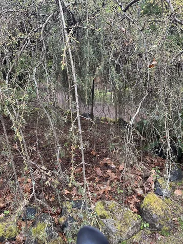 Best Easy Trails in Point Defiance Park | AllTrails