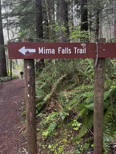 Best Camping Trails in Capitol State Forest | AllTrails