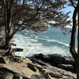 Marginal Way, Maine - 1,586 Reviews, Map | AllTrails
