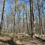 Southern Loop via Western Ridge Trail, Rock Creek, Valley Trail ...