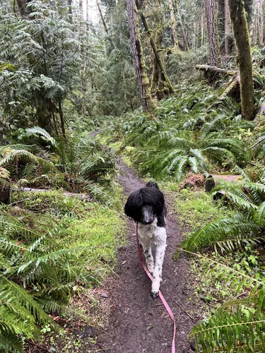 Best Easy Trails in Miller Peninsula State Park | AllTrails