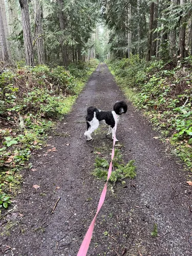Best Easy Trails in Miller Peninsula State Park | AllTrails