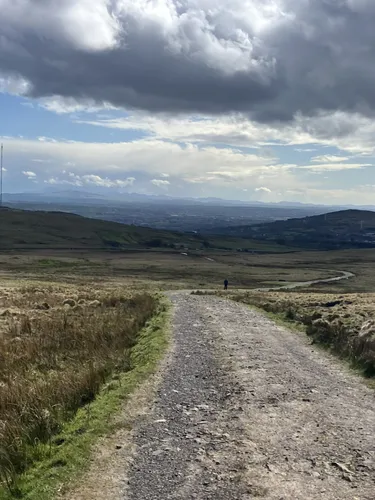 Divis and Black Mountain, National Trust: de beste routes om te ...