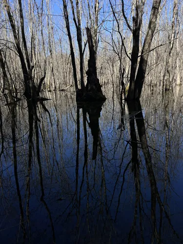 Best Kid Friendly Trails in Clark Reservation State Park | AllTrails