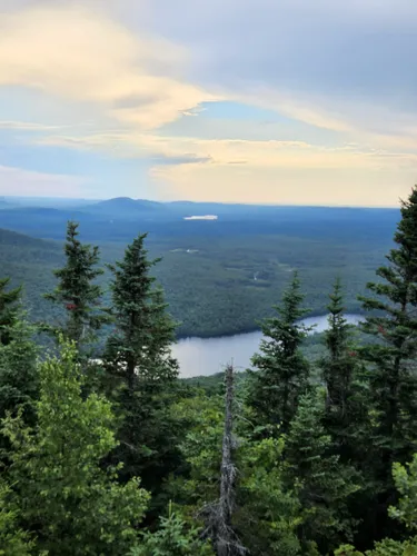 Best Dogs On Leash Trails in Debar Mountain Wild Forest | AllTrails