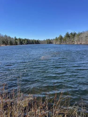 Best Hikes and Trails in Sutton State Forest | AllTrails