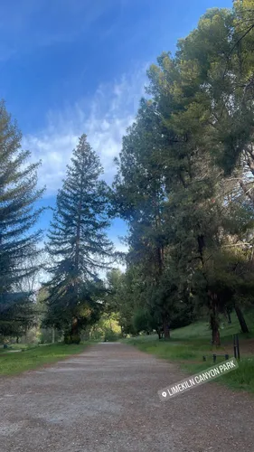 Best Wild Flowers Trails in Porter Ranch | AllTrails