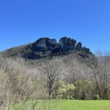 Seneca Rocks Trail, West Virginia - 2,785 Reviews, Map | AllTrails