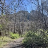 Seneca Rocks Trail, West Virginia - 2,785 Reviews, Map | AllTrails