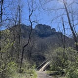 Seneca Rocks Trail, West Virginia - 2,785 Reviews, Map | AllTrails
