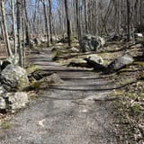 Seneca Rocks Trail, West Virginia - 2,785 Reviews, Map | AllTrails