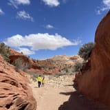Wire Pass Trail, Utah - 2,821 Reviews, Map | AllTrails