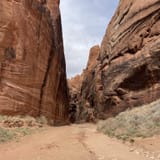 Wire Pass Trail, Utah - 2,821 Reviews, Map | AllTrails