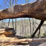 Princess Arch Trail, Kentucky - 1,331 Reviews, Map | AllTrails