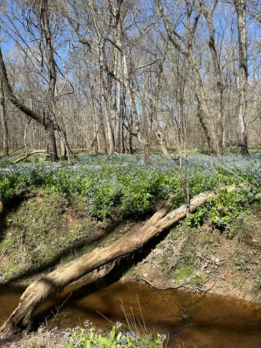 Best Hikes and Trails in Merrimac Farm Wildlife Management Area | AllTrails