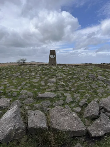 Best Hikes and Trails in Rowberrow Warren Wood | AllTrails