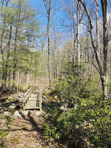 Best Trail Running Trails in Stokes State Forest | AllTrails