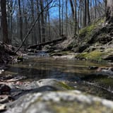 Cascade Falls Loop Trail, Maryland - 2,876 Reviews, Map | AllTrails