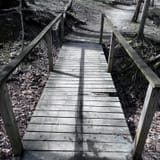 Cascade Falls Loop Trail, Maryland - 2,876 Reviews, Map | AllTrails