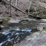 Cascade Falls Loop Trail, Maryland - 2,874 Reviews, Map | AllTrails