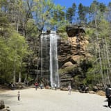 Toccoa Falls Trail, Georgia - 474 Reviews, Map | AllTrails