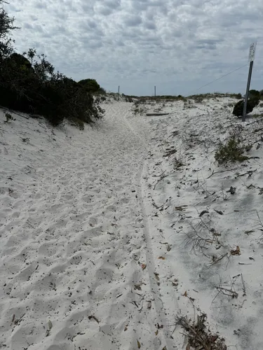 Best Hikes and Trails in Bon Secour National Wildlife Refuge | AllTrails