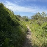 Corral Canyon Loop, California - 1,738 Reviews, Map | AllTrails