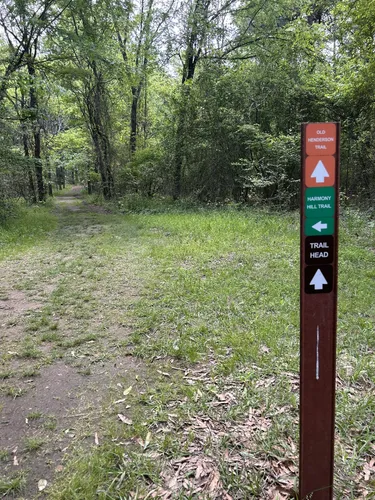 Best Forest Trails in Tatum | AllTrails