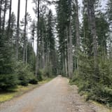 Dickerson Falls, Washington - 2,387 Reviews, Map | AllTrails