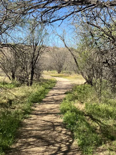 Best Hikes and Trails in Reach 11 Recreation Area | AllTrails