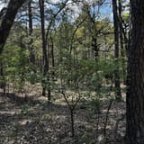 Coon Ridge Trail, Oklahoma - 357 Reviews, Map | AllTrails
