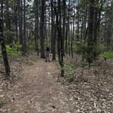 Coon Ridge Trail, Oklahoma - 357 Reviews, Map | AllTrails