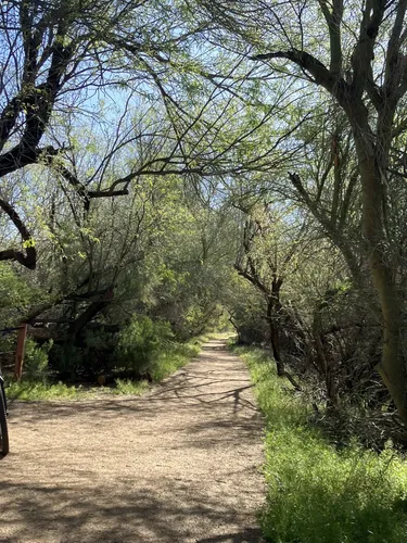 Best Hikes and Trails in Reach 11 Recreation Area | AllTrails