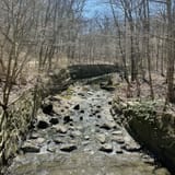 Moore Park Ravine Trail, Ontario, Canada - 1,327 Reviews, Map | AllTrails