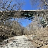 Moore Park Ravine Trail, Ontario, Canada - 1,327 Reviews, Map | AllTrails