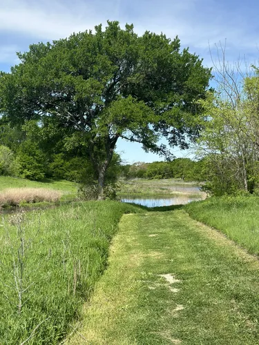 Best Lake Trails in Hagerman National Wildlife Refuge | AllTrails