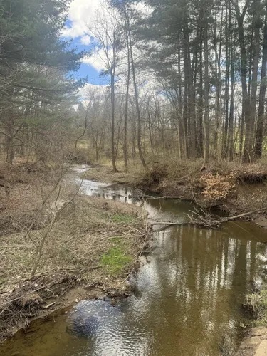 Best Easy Trails in Bath Nature Preserve | AllTrails