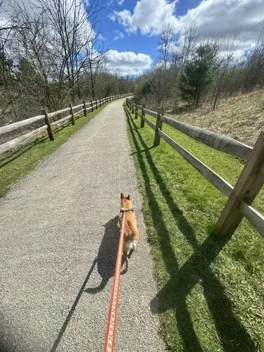 Best Easy Trails in Bath Nature Preserve | AllTrails