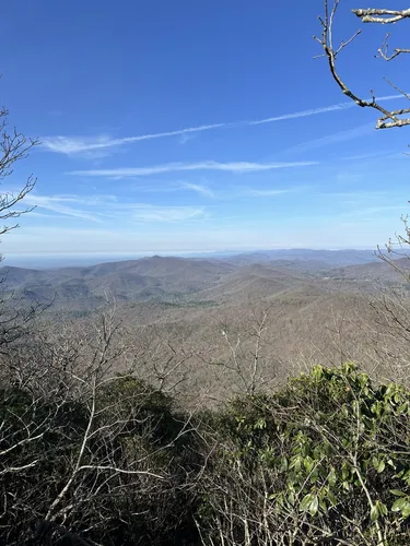 Best Bird Watching Trails in Blue Ridge Wildlife Management Area ...