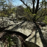 Coon Ridge Trail, Oklahoma - 357 Reviews, Map | AllTrails