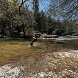 Cartecay River Loop Trail, Georgia - 2,021 Reviews, Map | AllTrails