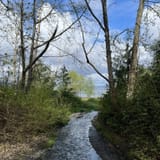 Seahurst Park Loop Trail, Washington - 897 Reviews, Map | AllTrails